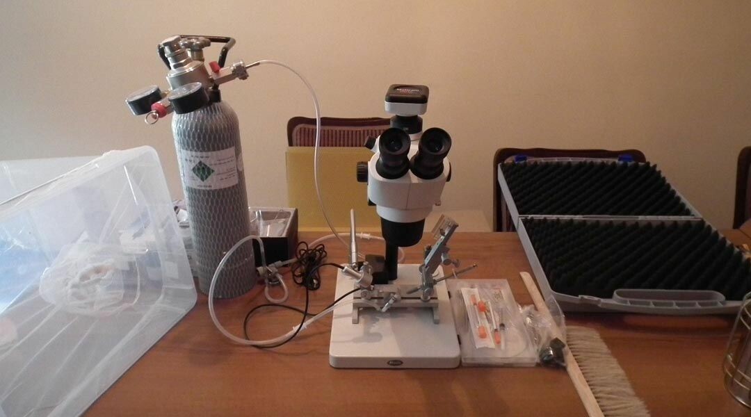 Aparat pentru inseminare artificiala matca - Apis-Blaj.ro