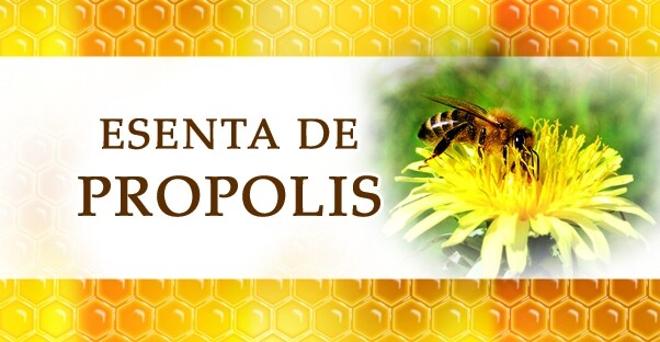 ETICHETE PROPOLIS pentru sticlute - Apis-Blaj.ro
