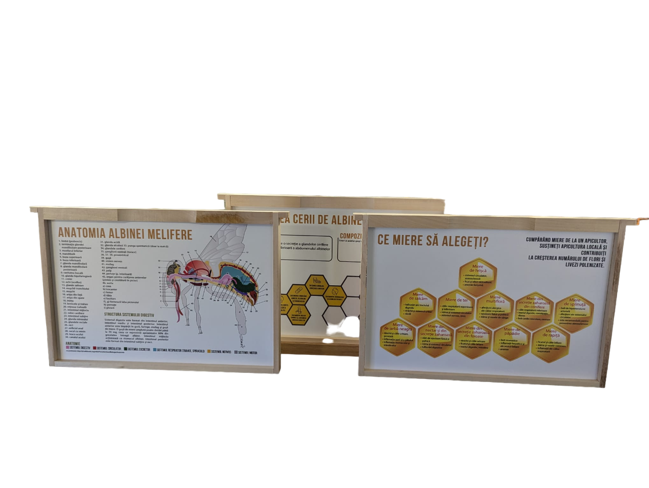 Rame educationale cu tema apicola 12 rame - Apis-Blaj.ro